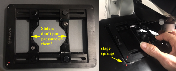 Biology & Biochemistry Imaging Core (BBIC) | Leica TCS SP8 Startup ...